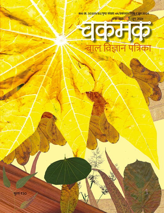Magazine subscription – Eklavya Pitara